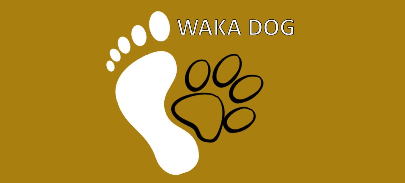 Waka Dog - Animal DayCare